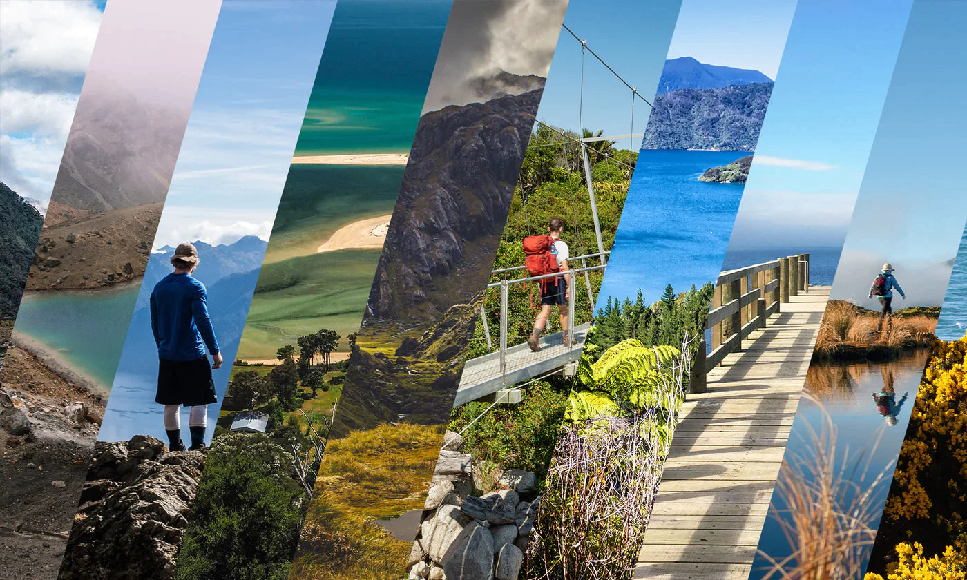 Top 10 Walking Tracks in New Zealand – Radix Nutrition UK